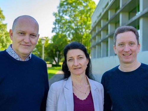 FDP.Die Liberalen Kehrsatz - Medienmitteilungen detail